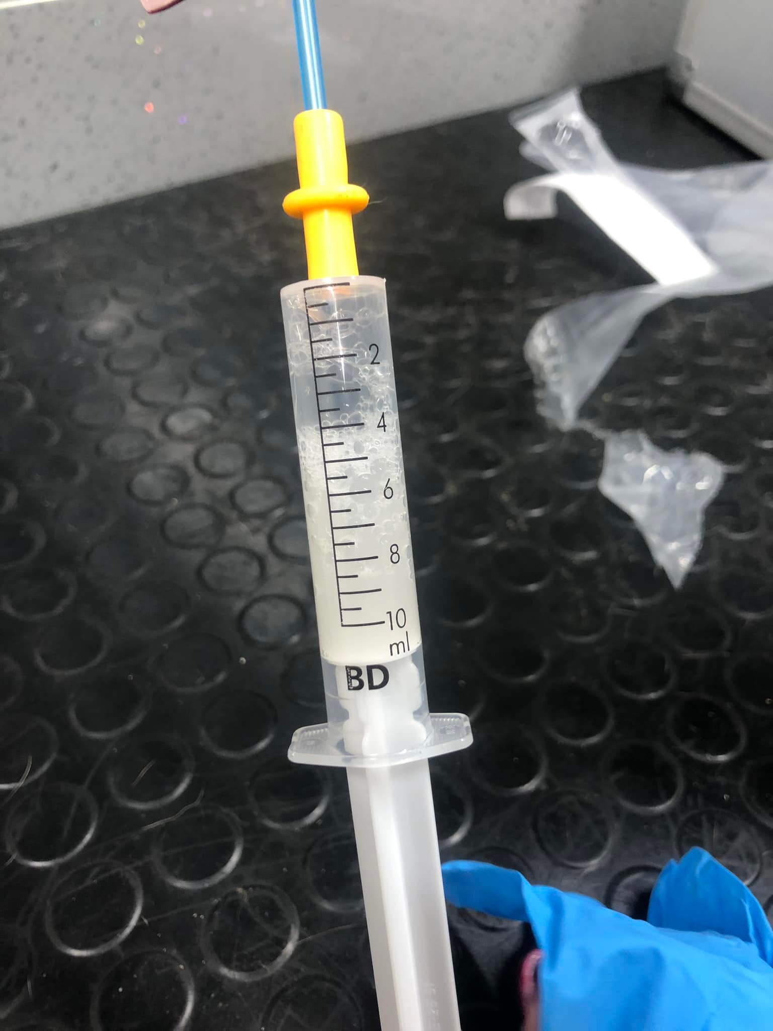 Dog Artificial Insemination Preston | Preston's K9 Fertility Services ...