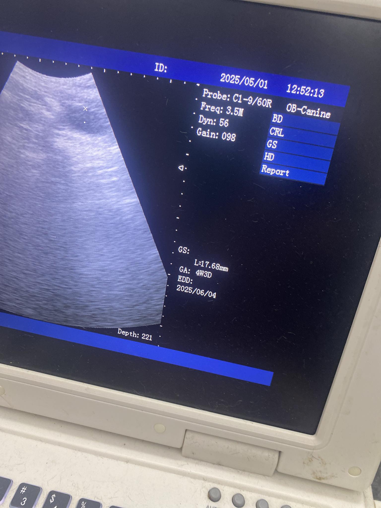 Puppy Scan Lancaster | Preston's K9 Fertility Services | Call Now